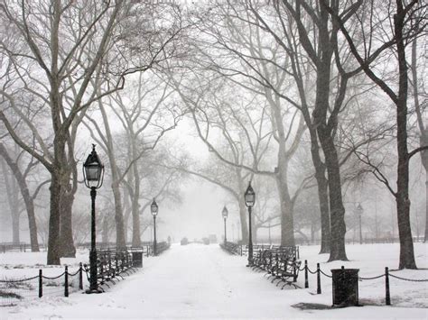 Nyc Weather Forecast Winter Storm Could Drop 16 Inches Of Snow New