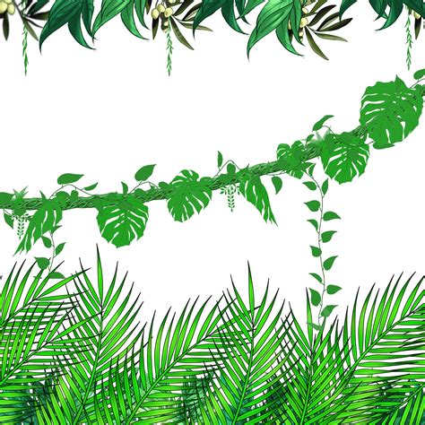Wilderness Rainforest Jungle Jungle Rain Forest Tropical Forest Png