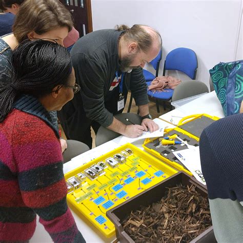 Minibeast Key Gratnells Ltd