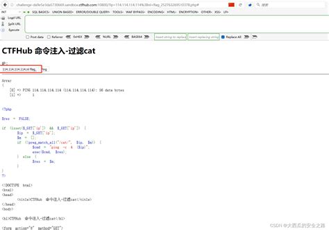 Ctfhub技能书解题笔记 Rce 过滤catctf Cat和flag 被过滤、 Csdn博客 Ctfhub技能书解题笔记 Rce 过滤catctf Cat和flag 被过滤、 Csdn博客