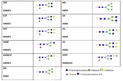 治疗性抗体的糖基化修饰 知乎