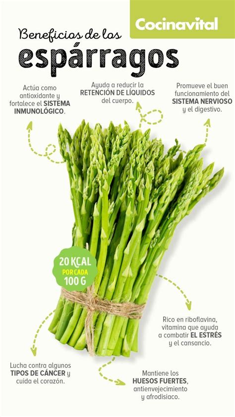 Propiedades De La Lechuga Artofit