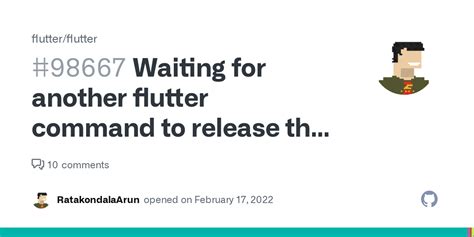 Waiting For Another Flutter Command To Release The Startup Lock