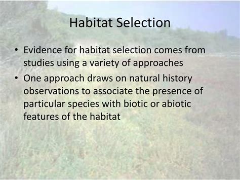 Ppt Habitat Selection Powerpoint Presentation Free Download Id6803606