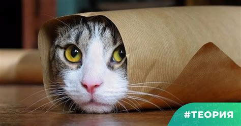 Руководство по классу Java Integer