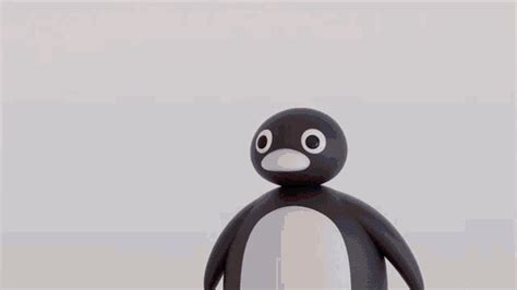 Pengu Noot Noot Gif Pengu Noot Noot K Discover Share Gifs