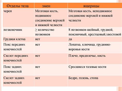 Сравнительный анализ строения скелетов черепахи ящерицы и змеи презентация онлайн