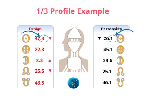 Understanding The 13 Investigator Martyr Human Design Profile