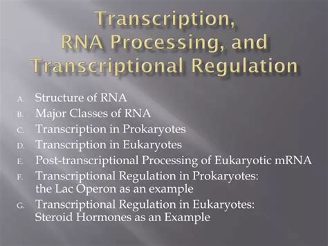 Ppt Transcription Rna Processing And Transcriptional Regulation Powerpoint Presentation Id