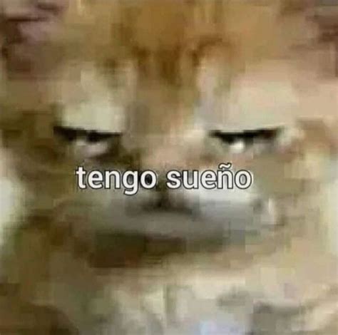 Tengo Sue O Im Genes Divertidas Memes Apodos Lindos Para Amigos