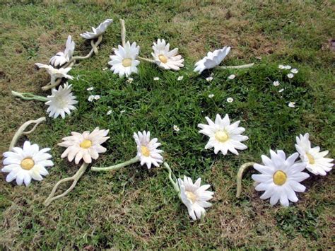 Daisy Chain Annie Begley