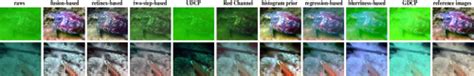 [pdf] An Underwater Image Enhancement Benchmark Dataset And Beyond Semantic Scholar