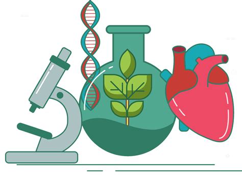 11th Grade Biology Quiz Ii P 2025 11th Grade Quiz Quizizz