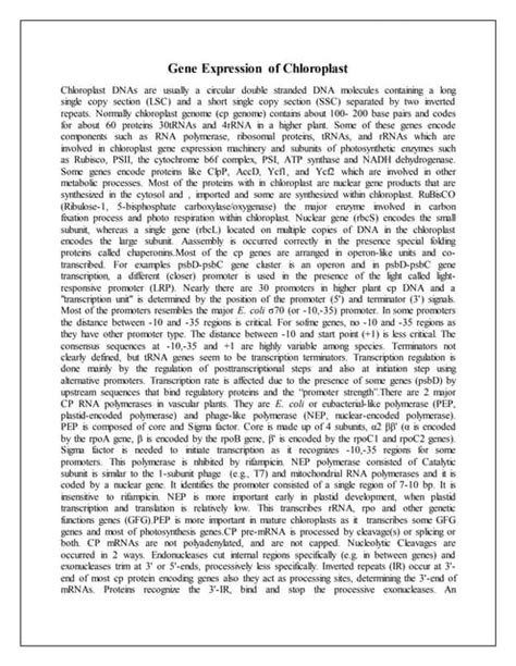 Gene Expression In Chloroplast Docx