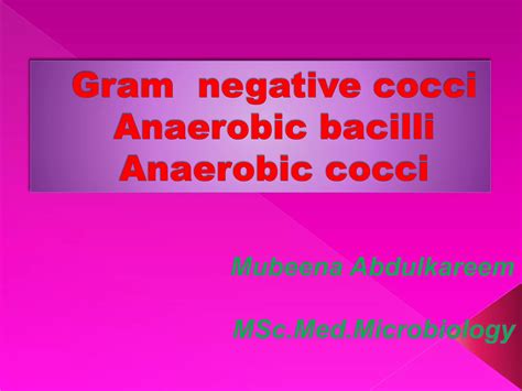Gram Negative Cocci Ppt