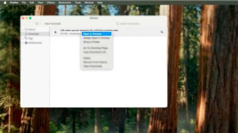 How To Open Webp Files Skylum How To
