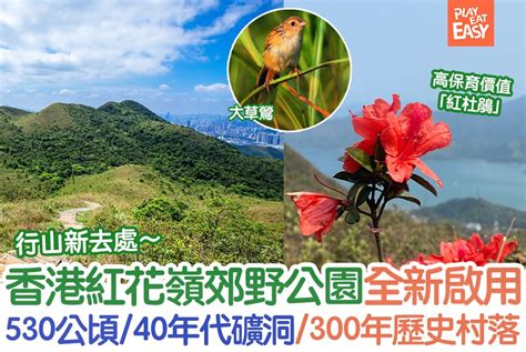 愛生活】香港再多個行山新點！紅花嶺郊野公園正式開放，成為香港第25個郊野公 Play Eat Easy 玩食易