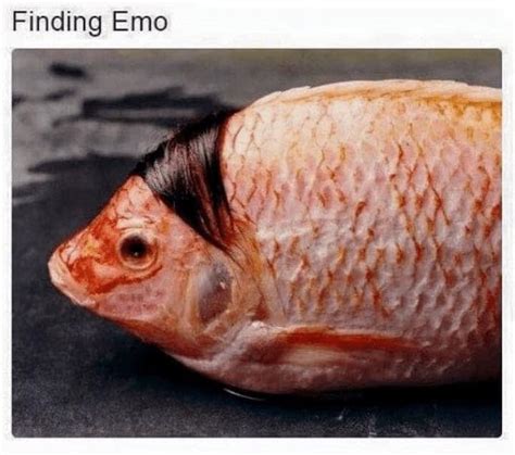 50 Emo Memes Thatll Make You Grab Your Fingerless Gloves