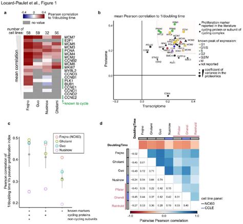 Calculation Of Pseudo Proliferation Index A Pearson Correlation With