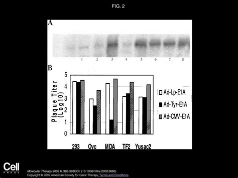 Volume 6 Issue 3 Pages September 2002 Ppt Download
