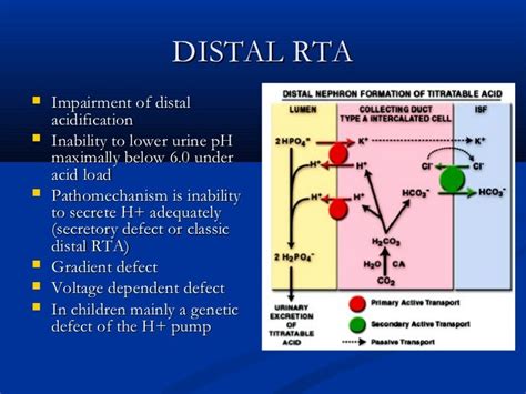 Renal Tubular Acidosis