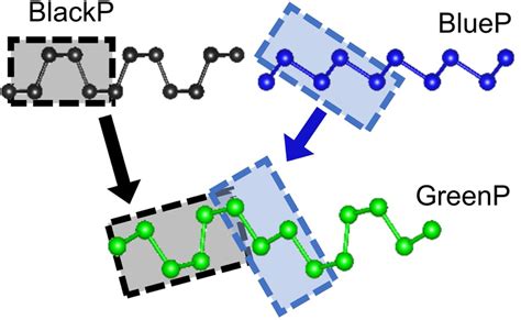 The Relaxed Atomic Structures Of Different Polymorphs Of Phosphorene Download Scientific