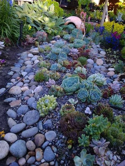 59 Catchy Outdoor Succulent Garden Ideas Digsdigs