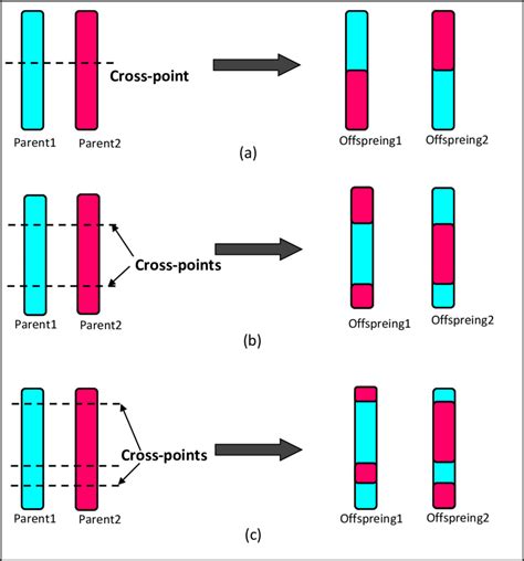 Crossover Operator A One Point Crossover B Two Point Crossover