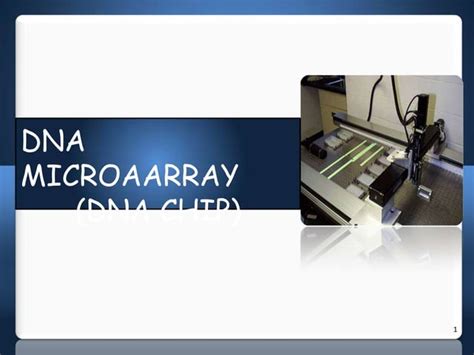 Dna Microarray Dna Chips Pptx
