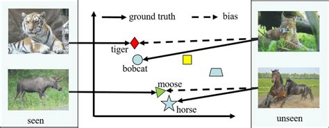 Visualization Of Bias Problem The Labeled Instances Are From Seen