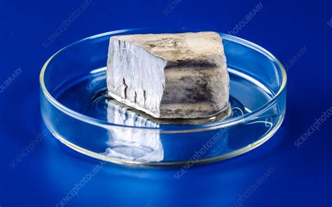 Block Of Sodium Metal Stock Image C037 5868 Science Photo Library