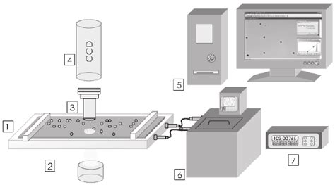 Typical Particle Tracking Setup For 2d Microrheology Experiments 1 Download Scientific