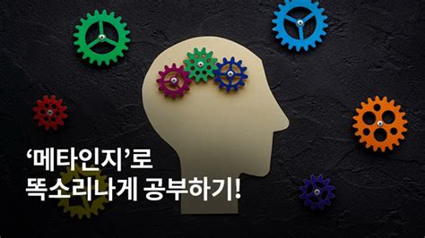 메타인지 학습 왜 중요하냐고요 YouTube