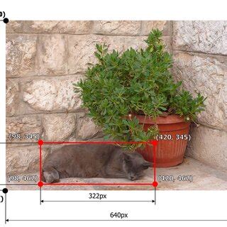 Figure A Illustration Of The Bounding Box Coordinates Of An Object Download Scientific