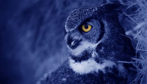 Why Devs Should Learn Reactjs And Pick Up Ecmascript 6 Angularjs 20 For A Later Date