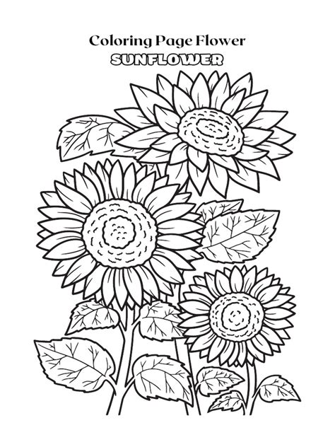 Class Notebook In Black And White Illustrative Style Pdf