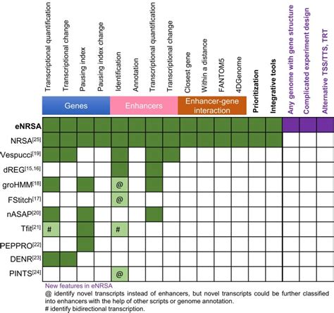 Enrsa A Faster And More Powerful Approach For Nascent Transcriptome Analysis Pmc