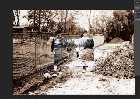 Automatically Resize To Canvas Rphotopea