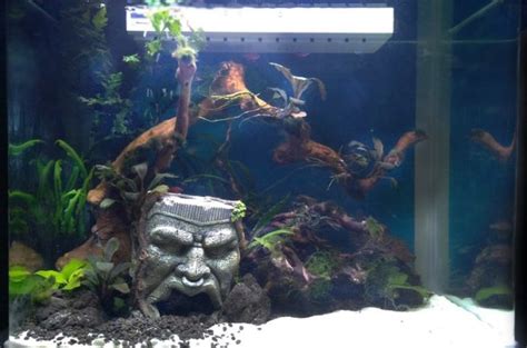 Мой аквариум с Tetra Мой аквариум с Tetra