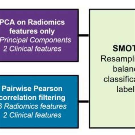 Schematic Workflow For Feature Extraction Dimensionality Reduction Download Scientific