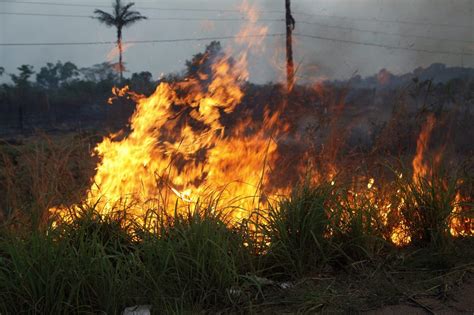 Governo De Rondônia Executa Plano De Prevenção E Combate às Queimadas E