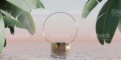 3d 연단 디스플레이 바다 전망 파스텔 일출 배경야잎과 물 화장품 미용 제품 프로모션 모형 자연 그림자 단계 받침대 여름 최소 배너 3d 렌더 일러스트레이션 물에 대한 스톡