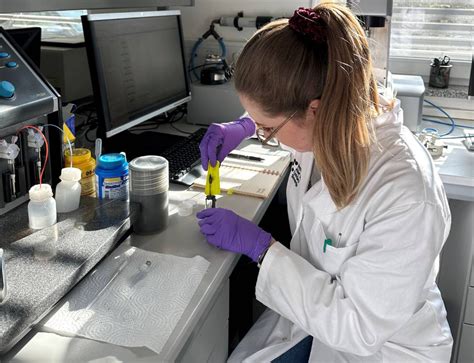 Whats Brewing At JoŽef Stefan Institute Maestri