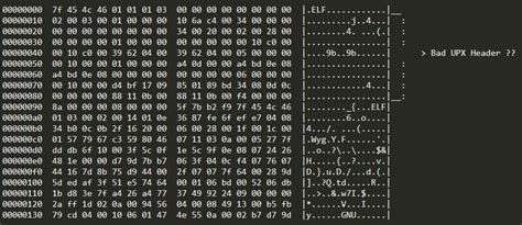 Packed 32bit Elf Reverse Engineering Rliveoverflow