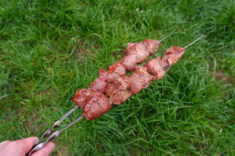 돼지고기와 바베큐 바베큐에서 맛있는 구운 돼지 고기 그릴에 케밥 녹색 잔디 배경에 바베큐 그릴에 고기의 클로즈업 계절에 대한 스톡 사진 및 기타 이미지 Istock