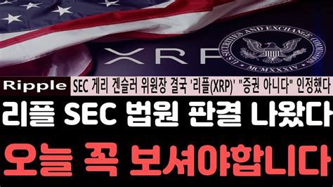 리플전망 리플 Xrp 폭등랠리가 시작된다 법원측 1심판결 그대로유지 소식 나왔다 오늘 영상은 꼭 보셔야합니다 리플전망