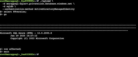 Azure App Service からプライベートエンドポイント経由の Azure Sql Database へパスワードレス Entra 認証を試してみた Mnrst