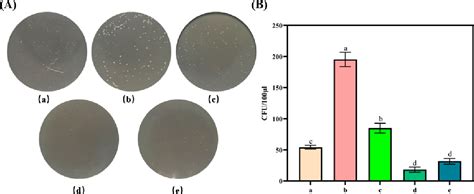 Figure 4 From Preparation And Characterization Of Pullulan Based
