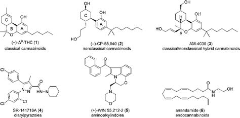 1 Structural Classification Of Cannabinoids With Representative Compounds Download Scientific
