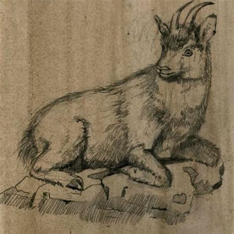 Художник Горюнова Ольга